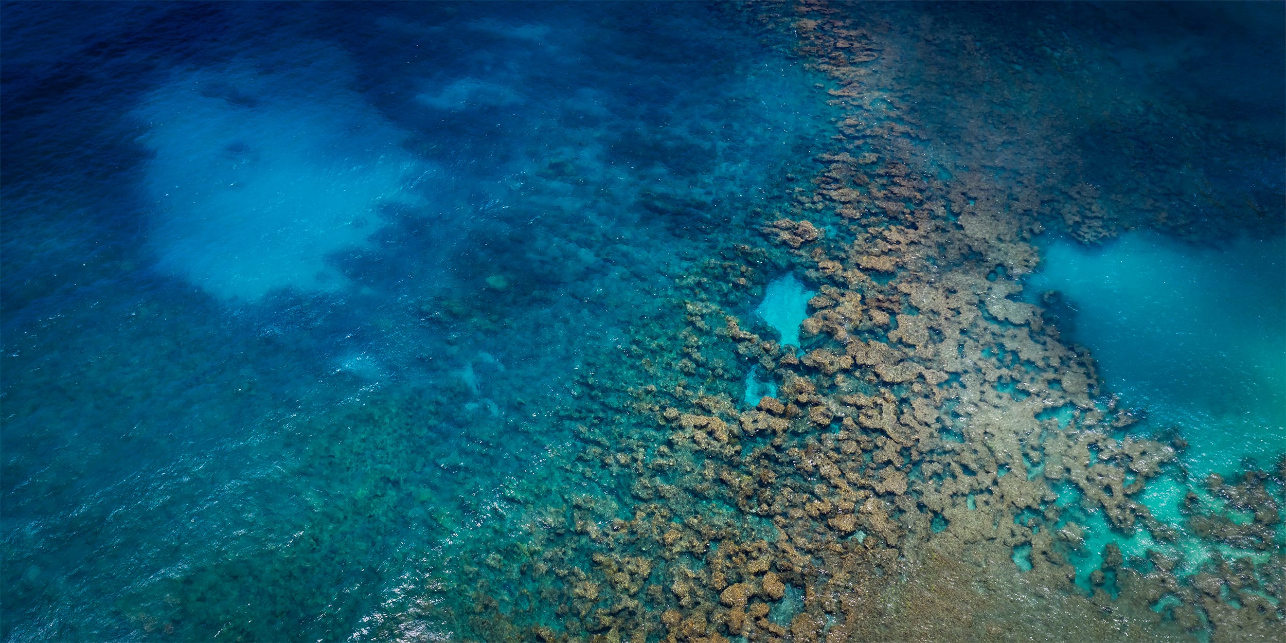 OCEAN OASIS | Abstract In Nature | Marlon Holden Fine Art