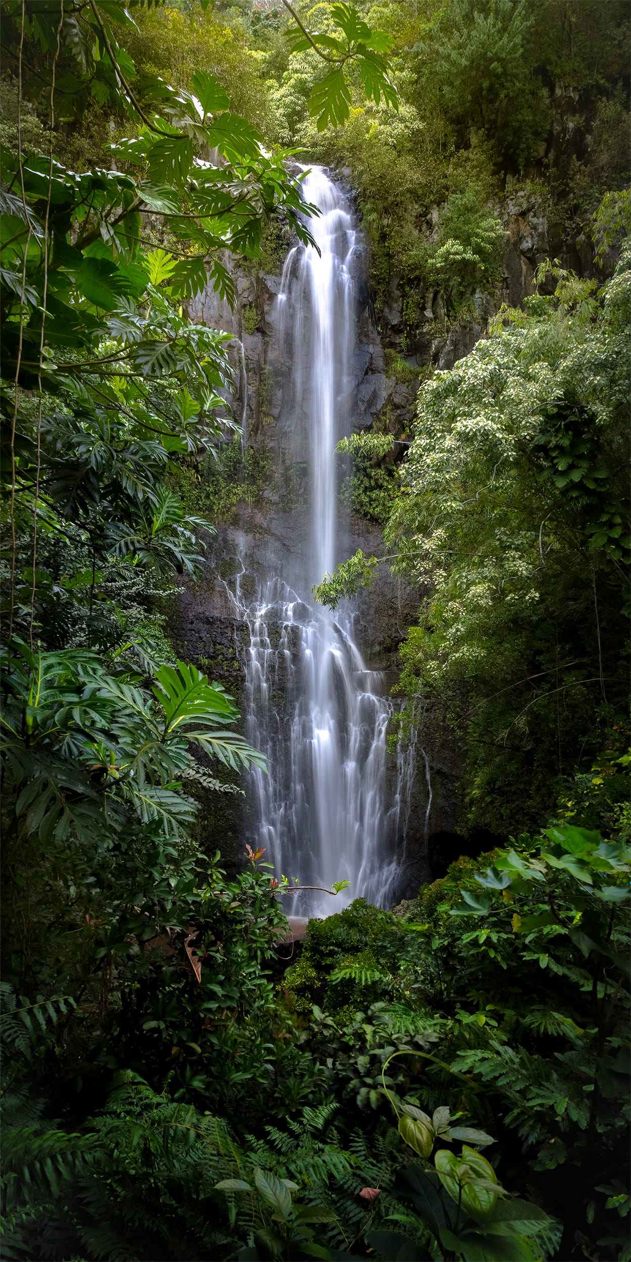 PARADISE FALLS | Seascapes & Waterfalls | Marlon Holden Fine Art